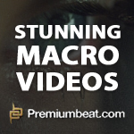 Inspiration! 13 Stunning Macro Video Projects - The Beat: A Blog by ...