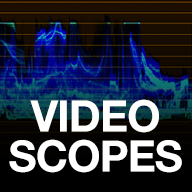 Video Essentials: How to Read a Vectorscope and Waveform Monitor - The ...