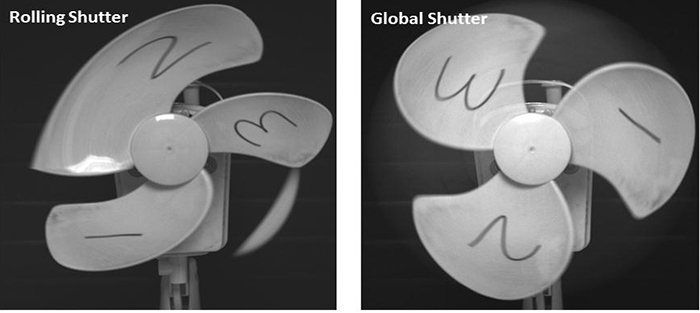 The Science of Shutters: How Camera Shutters Work