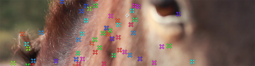 3 Ways to Stabilize Motion in After Effects