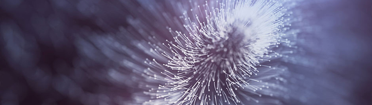 New Update Finally Makes Trapcode Particular Easy to Use