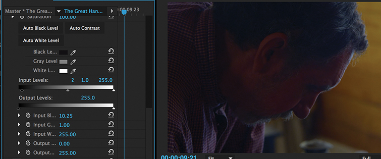 How to Make Your Video Look Cinematic in 30 Seconds in Premiere