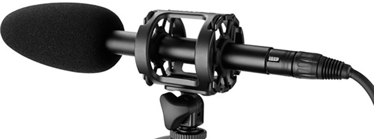 Build a Pro Boom Mic for Around $500