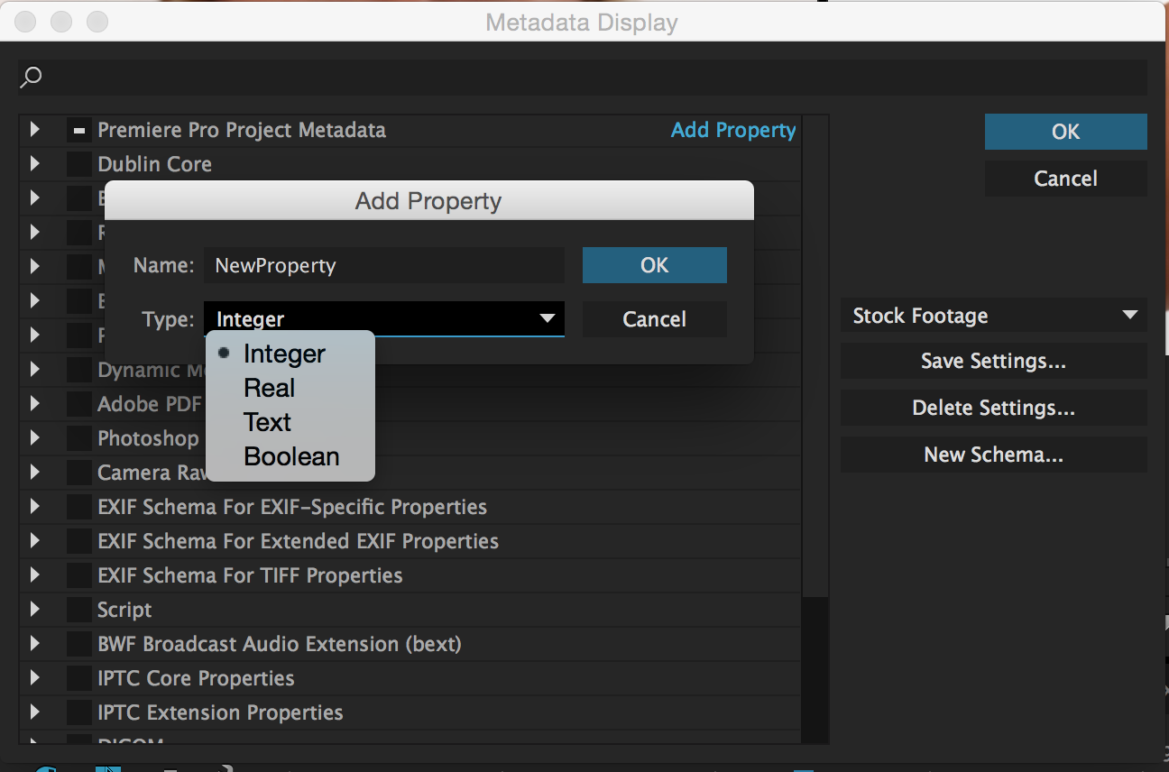 Unleash the Power of the Premiere Pro Project Panel