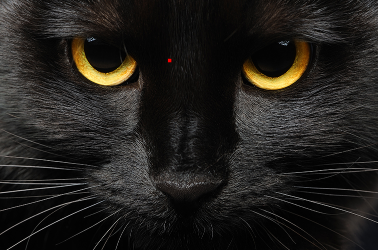 What is a Hot Pixel and How Can You Remove One?