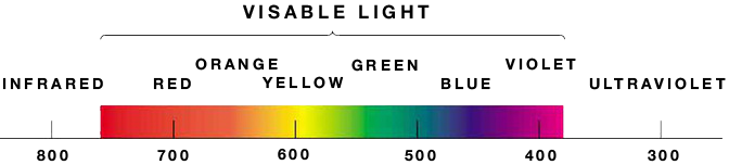 The Basic Properties of Color