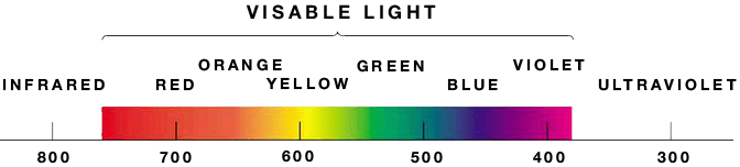 The Basic Properties of Color