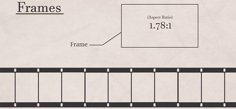 Everything You Never Knew You Wanted to Know About Film