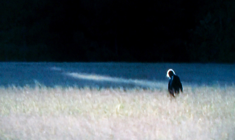 7 Common (and Avoidable) Continuity Errors