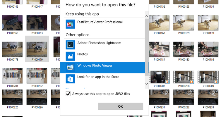 How to View the Panasonic GH5's RAW Files in Windows 10