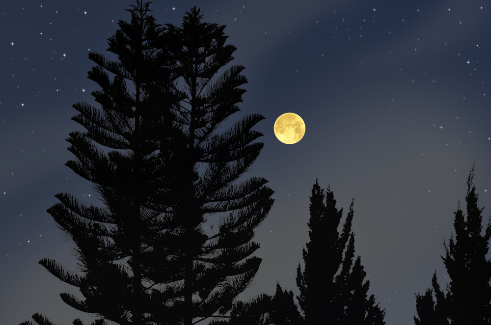 Why Do Filmmakers Color Grade Moonlight to Be Blue?