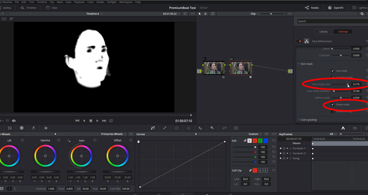 Working with DaVinci Resolve 14's Powerful Face Refinement Plug-in