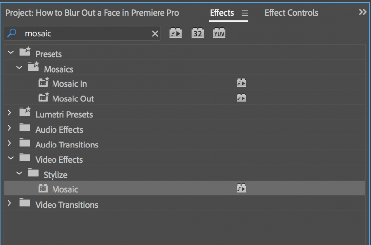 Need to Blur a Face in Premiere Pro? Here's How You Do It