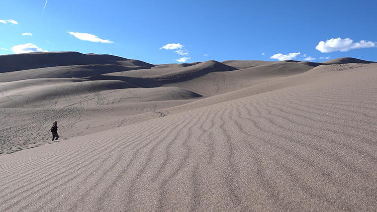 How to Layer Text Behind Objects in Adobe Premiere Pro