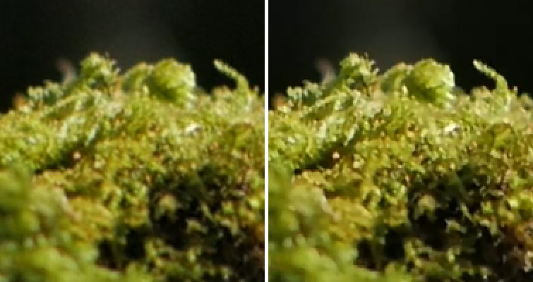 Get To Know DaVinci Resolve 15's Super Scale Feature