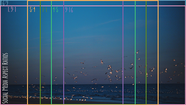 A Cheat Sheet for Social Media Video Aspect Ratios
