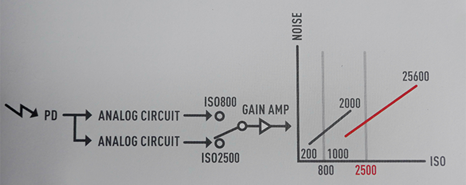 Why Dual Native ISO Should Be the New Industry Standard