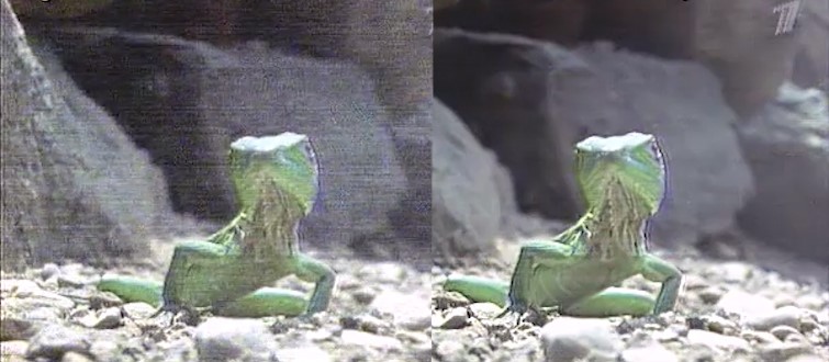 Understanding Image Noise in Your Film and Video Projects