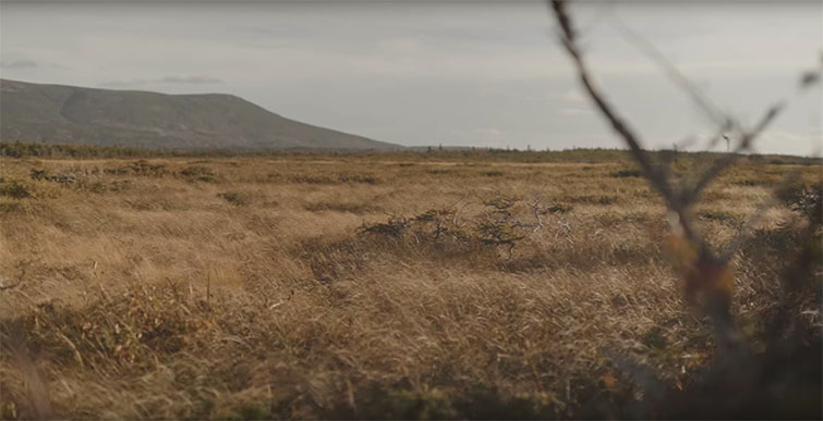 Video Tutorial: Which Frame Rate Should You Be Using?