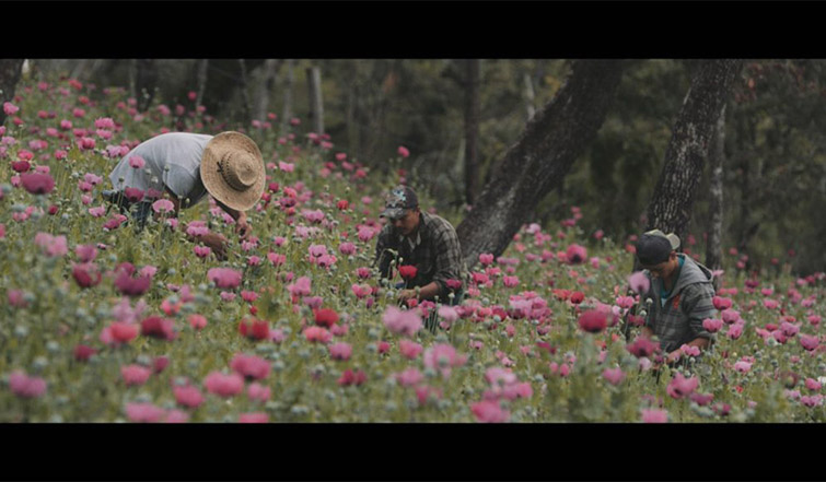 5 Filmmaking Projects That Can Improve Your Own Work