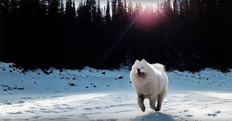 Simple Tips on How You Can Capture Better Slow-Motion Video