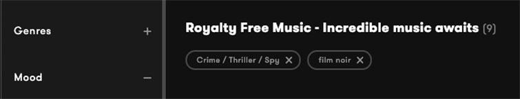 Creative Ways You Can Use Music Loops in Your Videos