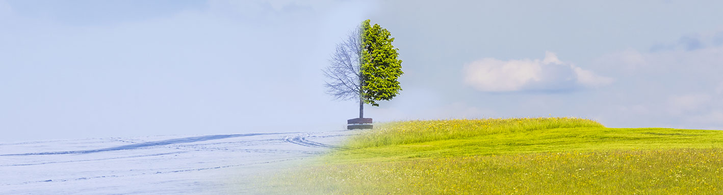 Make Your Cuts Shine with Royalty-Free Transition Music