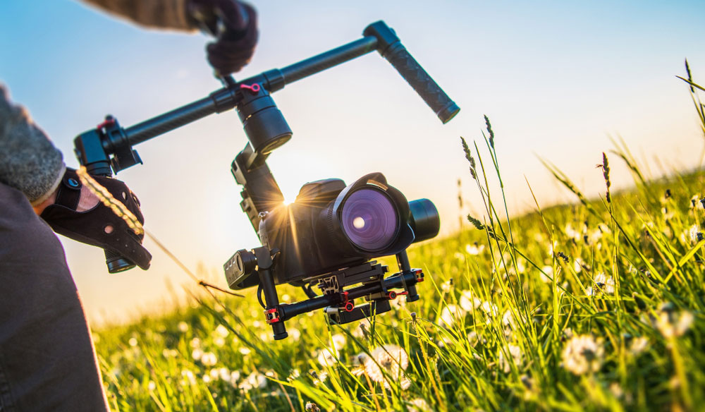 Nature's Lighting: A Guide on Shooting With or Against the Sun