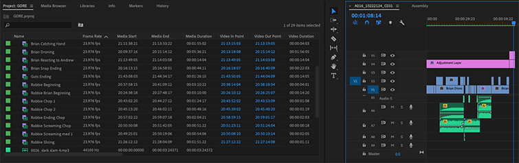 The Best Video Editing Programs: Final Cut Pro vs. Premiere Pro