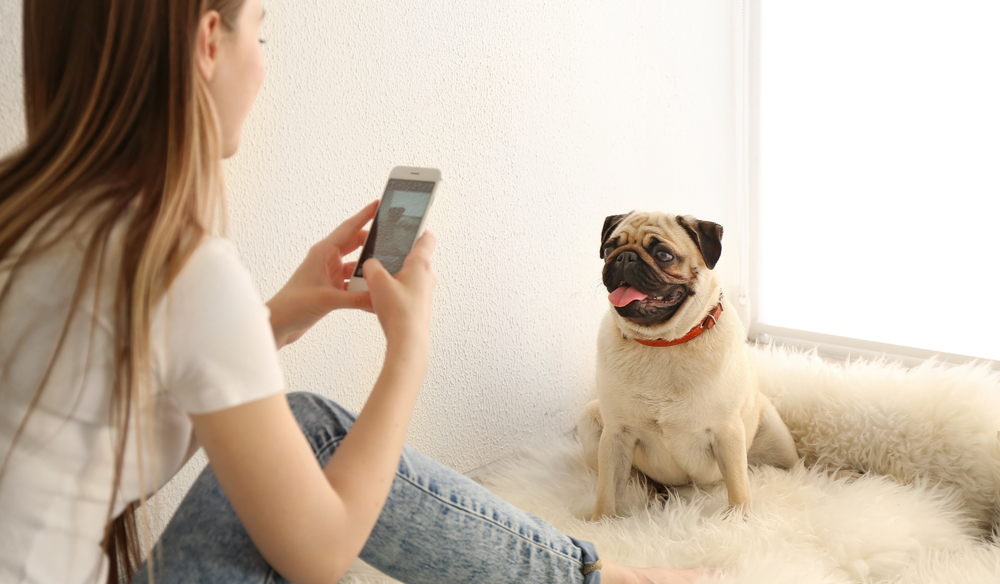 Premiere Pro Quick Tip: How to Create Proxies