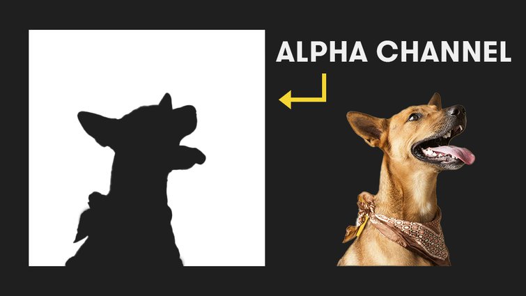 Exporting with Alpha Channels in After Effects