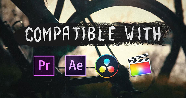 Download FREE Hand-Painted Animated Fonts for Videos and Beyond