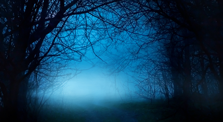 400+ Free and Paid Halloween-Themed Assets for Your Next Horror Film