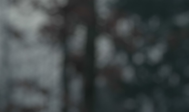 A Complete Guide on How to Get the Bokeh Effect