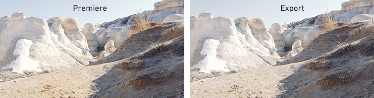 How to Fix Desaturated Colors in Your Premiere Pro Export