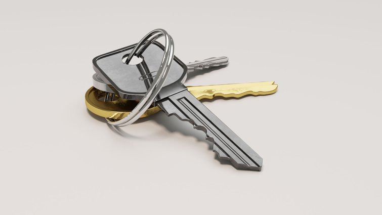 Complete Beginner's Guide to Blender - PremiumBeat