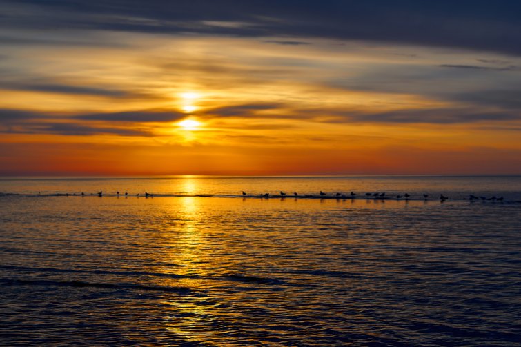 F/4 vs. F/2.8: What’s the Difference and Why Does it Matter?