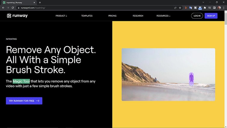 Remove Objects from a Video with One Brush Stroke?