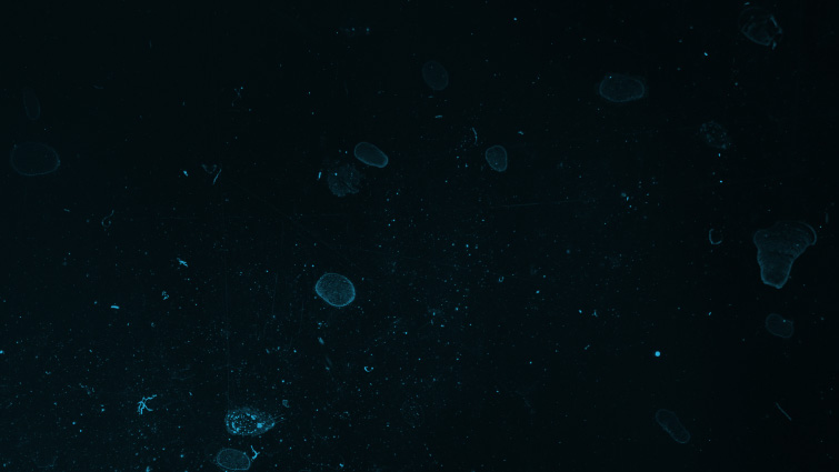Download Now: 25 FREE Glass Textures