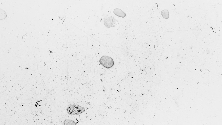 How to Animate Glass Textures on Videos in After Effects