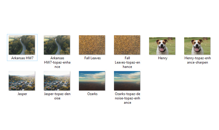 Topaz Photo AI Review: Does It Make a Difference on Large Prints - The ...